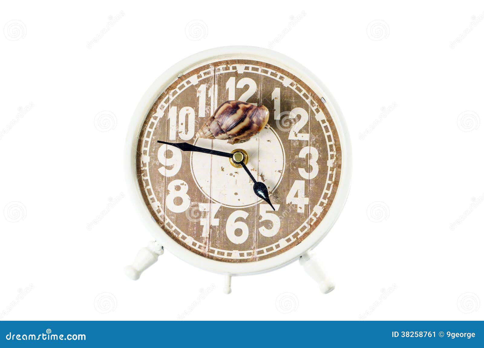 Snail on an Alarm Clock, Time Concept.Clipping Path Stock Image - Image ...