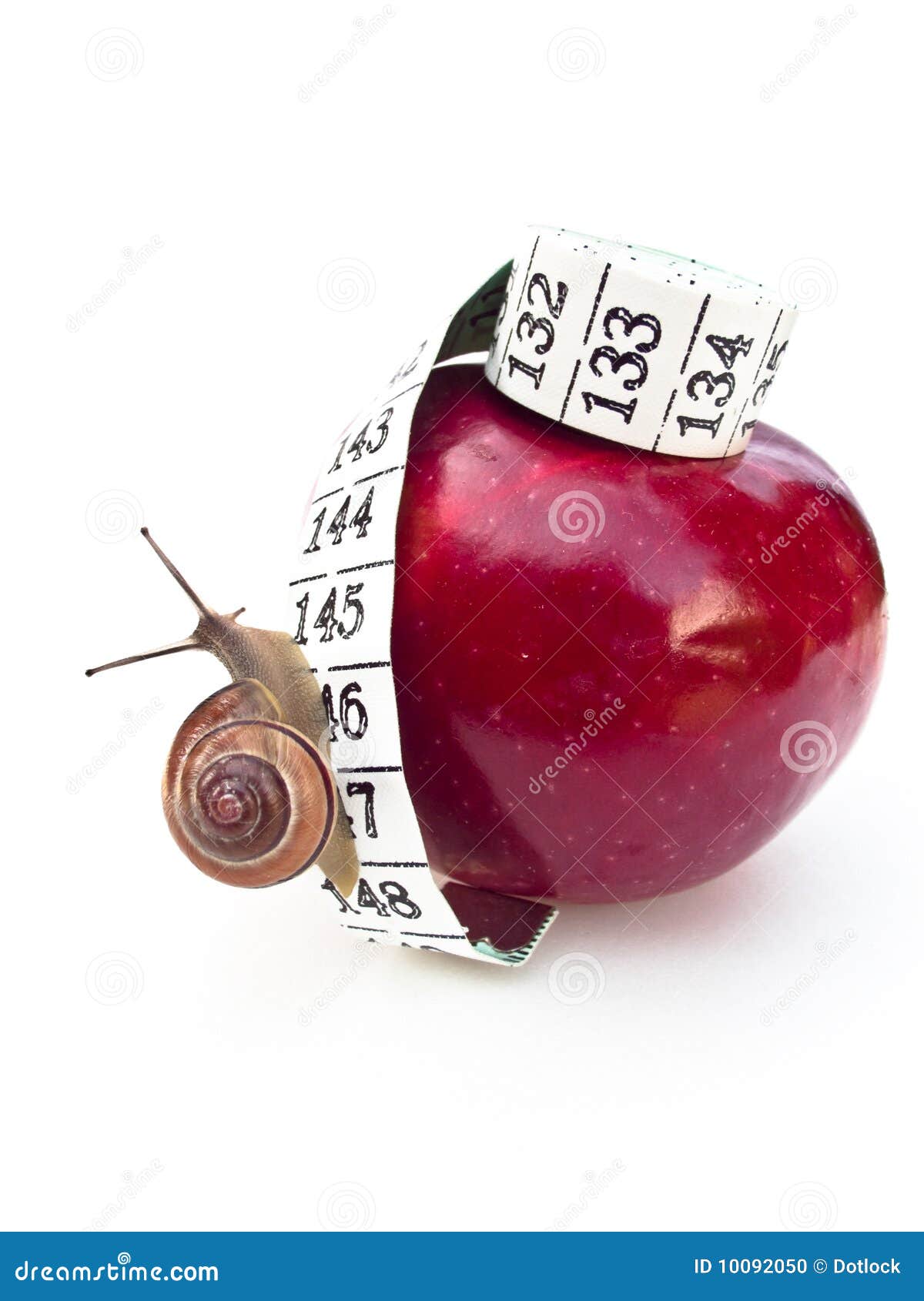 Snail on Apple stock photo. Image of loss, health, nutrition - 10092050