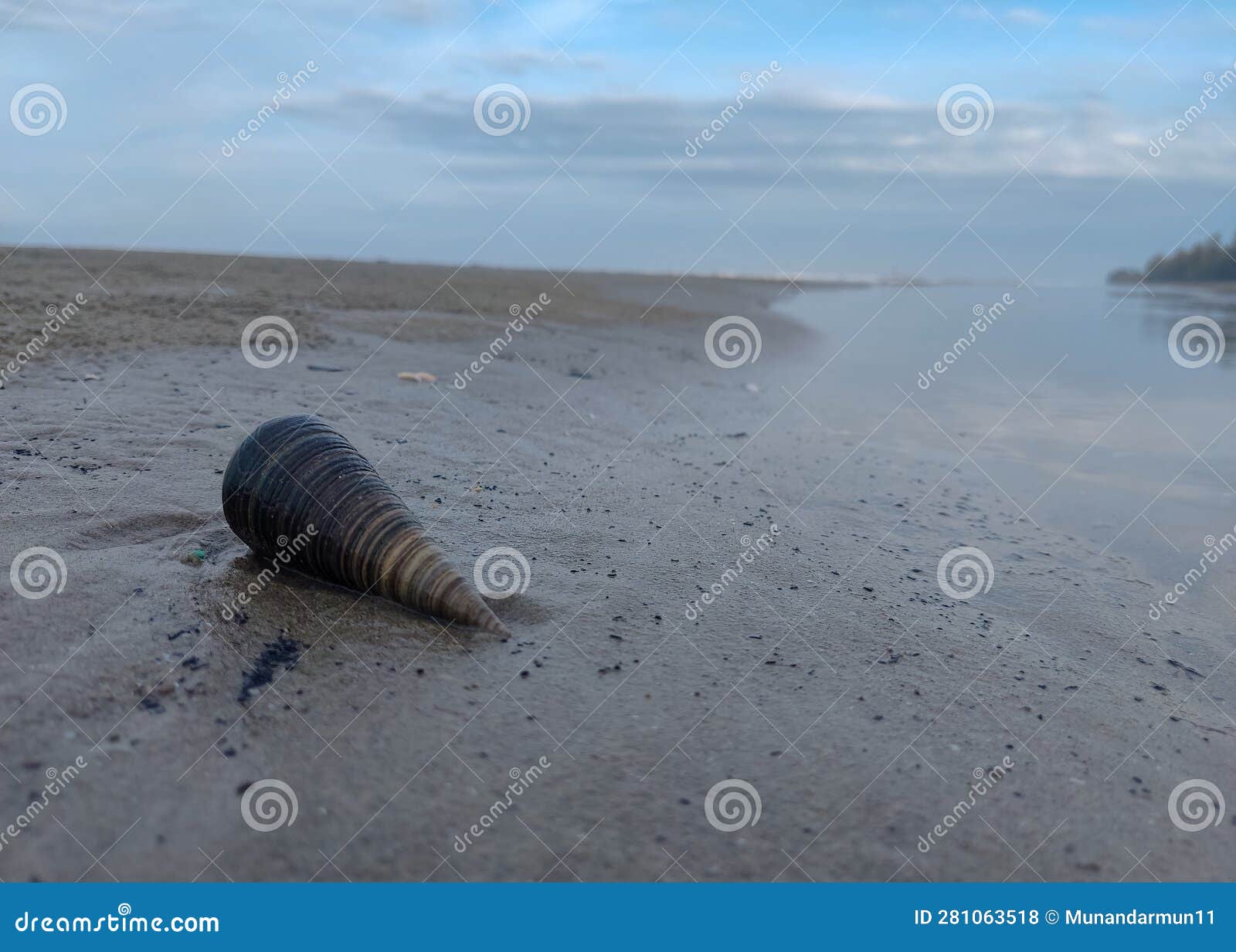 A Snail on the Beach with Beautiful Sky Stock Photo - Image of ocean ...