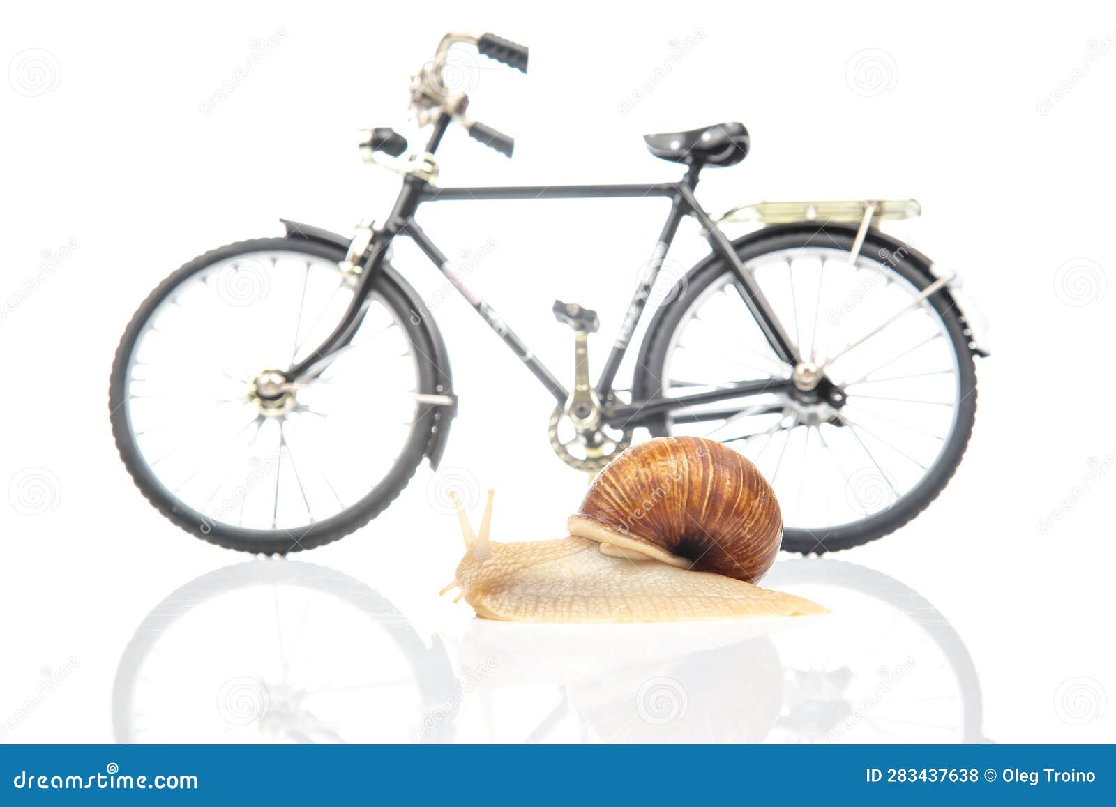 Snail and Bicycle Model on a White Background. the Speed of Movement of ...