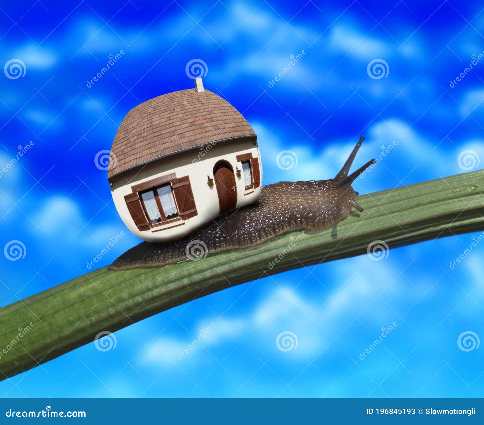 Snail Carrying House on Its Back Stock Image - Image of property ...