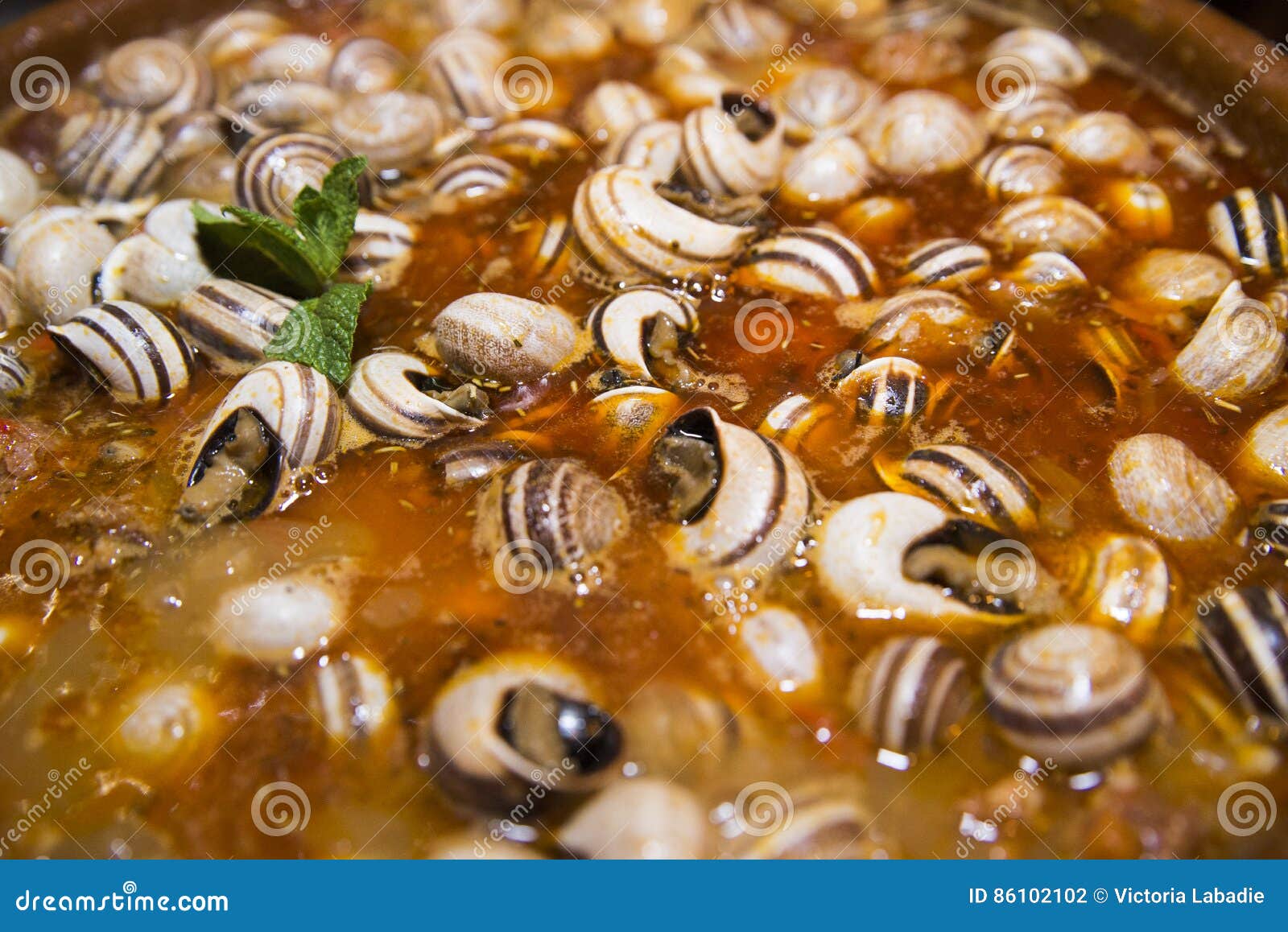 Snail casserole stock photo. Image of eatery, dining - 86102102