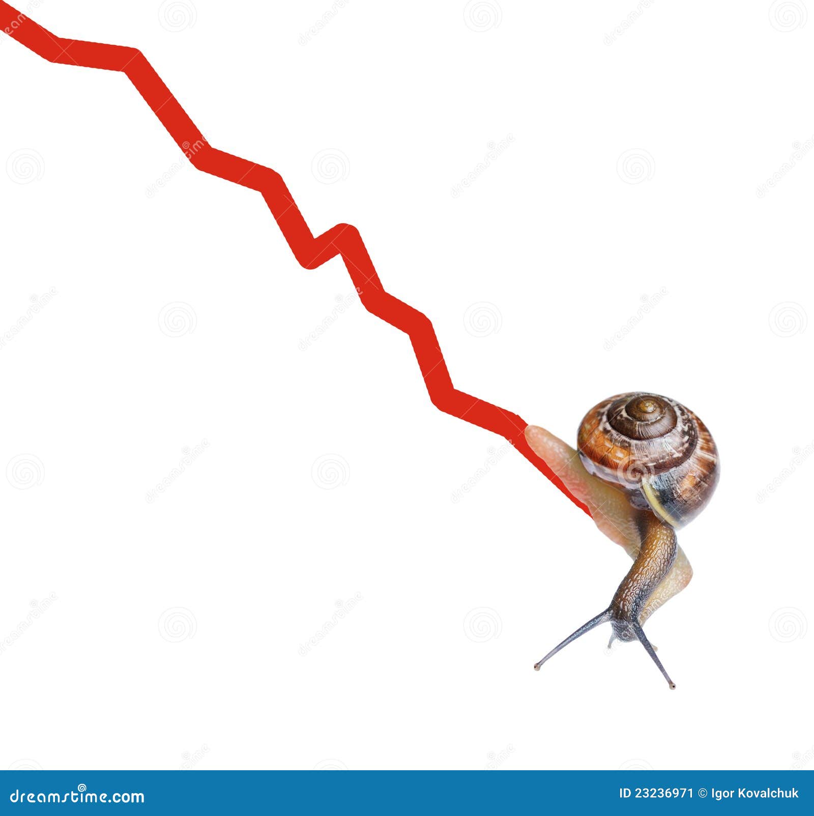 Snail on chart currency stock image. Image of graph, gastropoda - 23236971