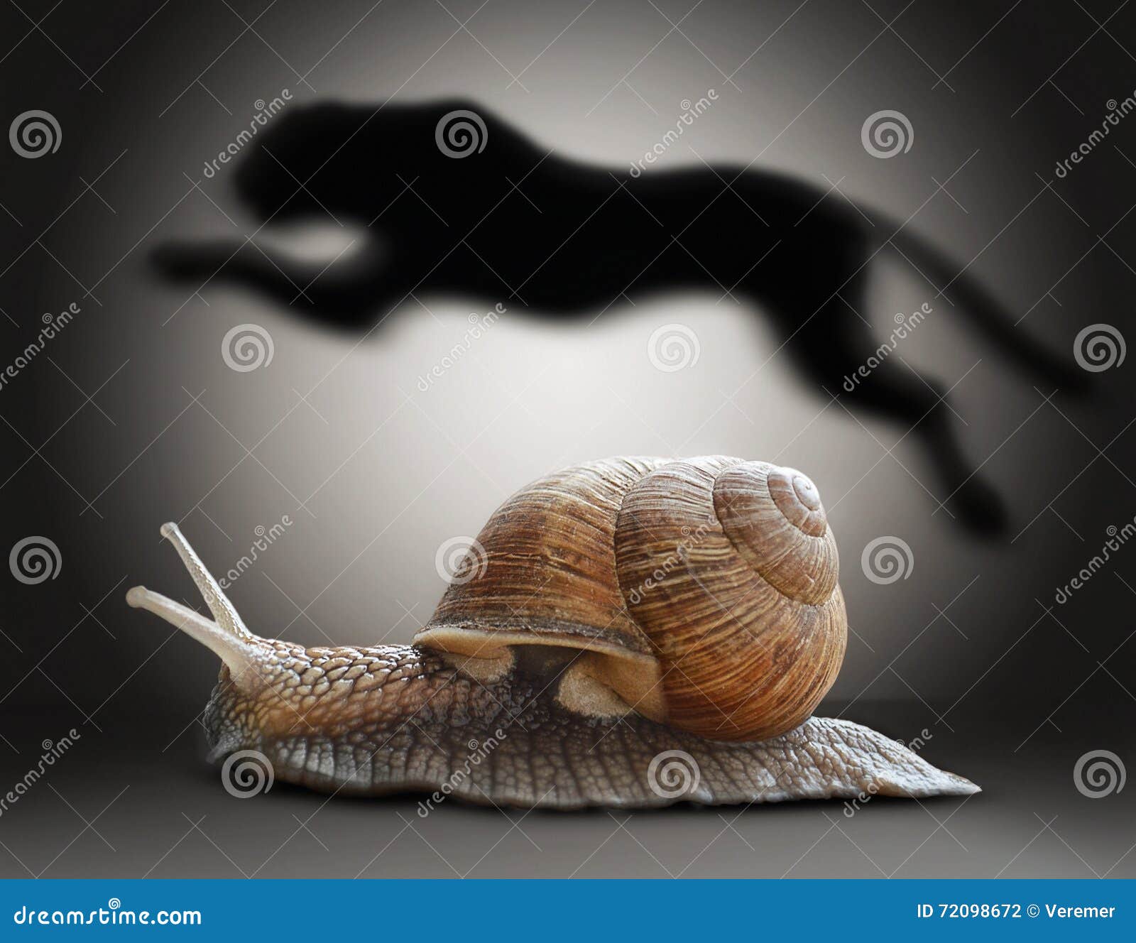 Snail with Cheetah Shadow. Concept Graphic in Soft Vintage Style Stock ...