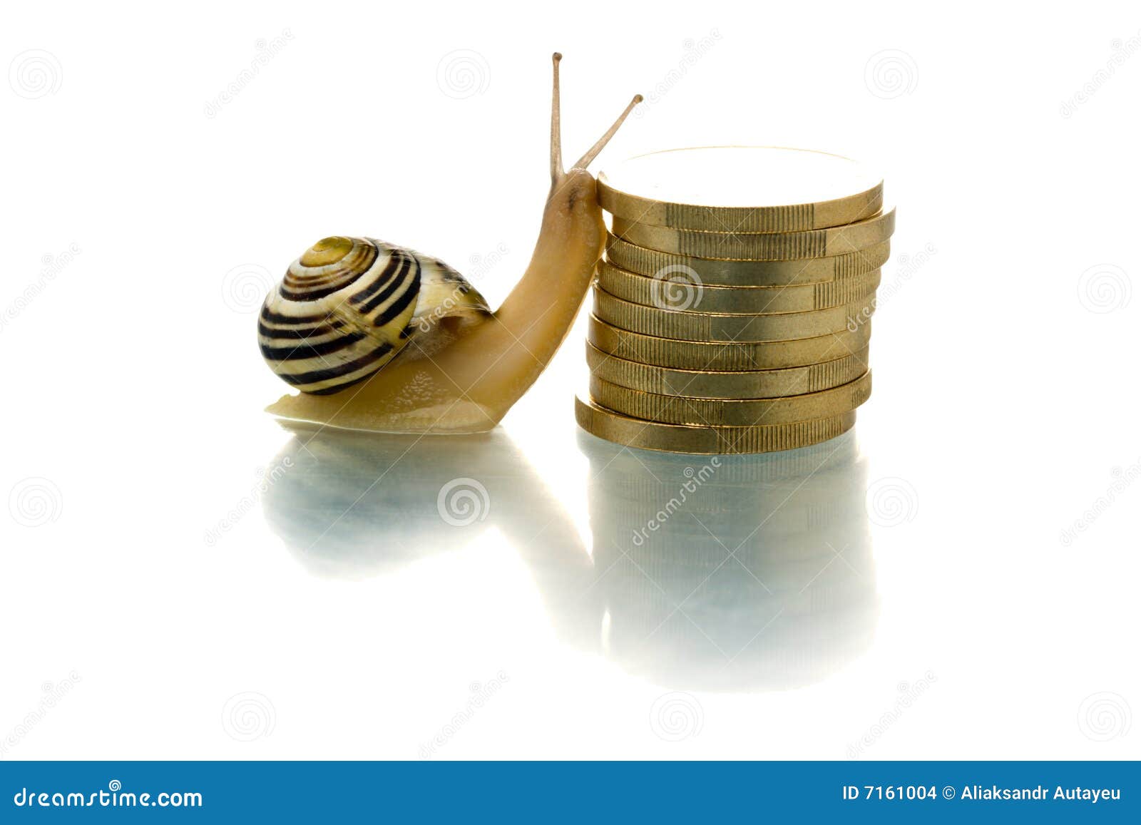Snail climbing coins stock photo. Image of financial, savings - 7161004