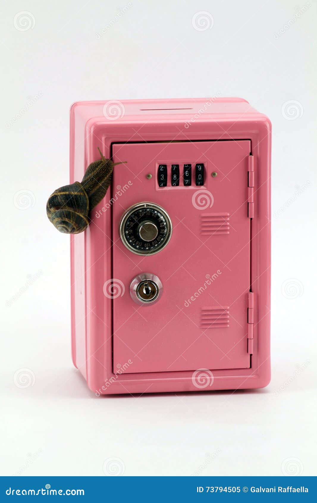 Snail climbing a money box stock image. Image of door - 73794505