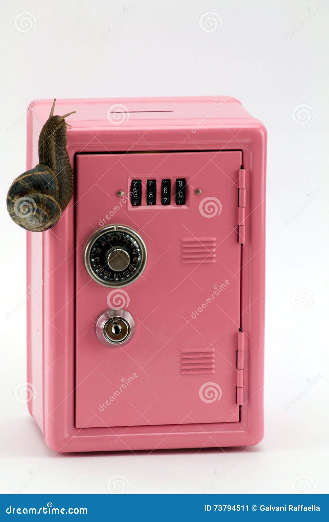 Snail Climbing a Pink Safe Money Box Stock Image - Image of deposit ...
