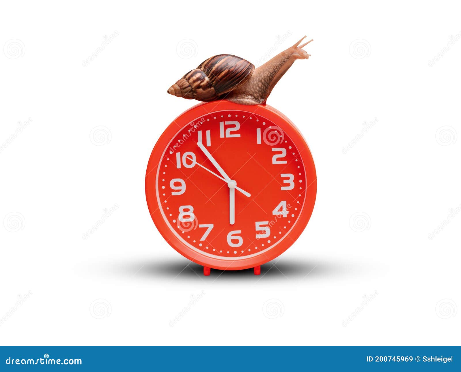Snail Clock Isolated on White Background: Planning and Waiting Concept ...