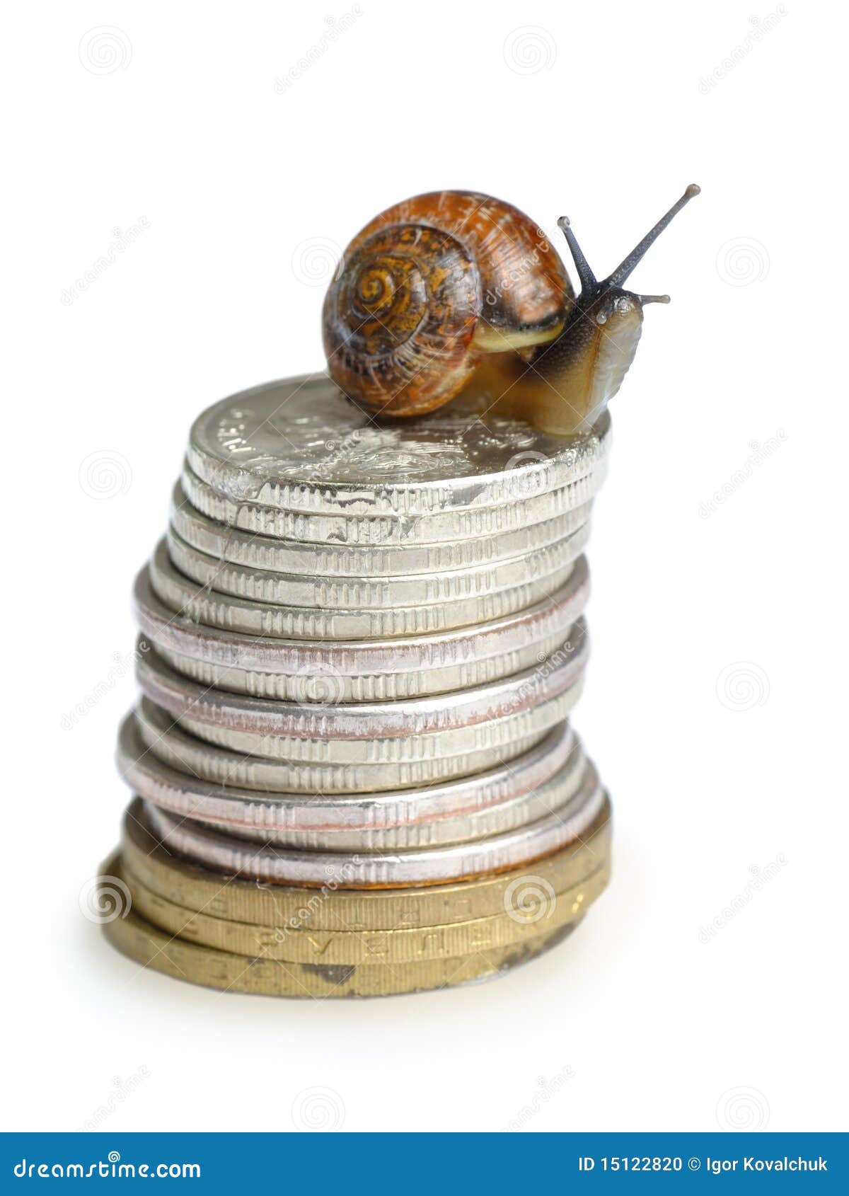 Snail on coins stock photo. Image of cameo, mucus, cutout - 15122820