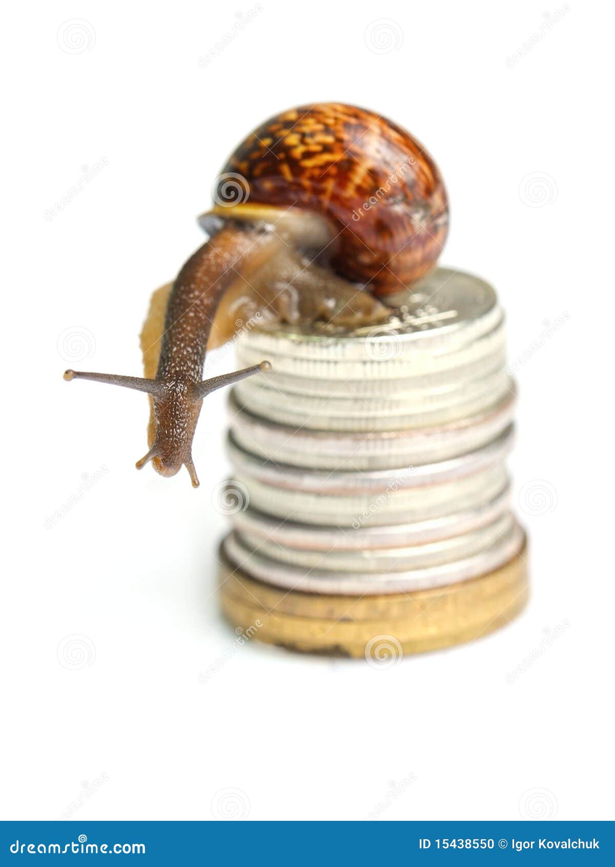 Snail on coins stock photo. Image of metal, guard, macro - 15438550