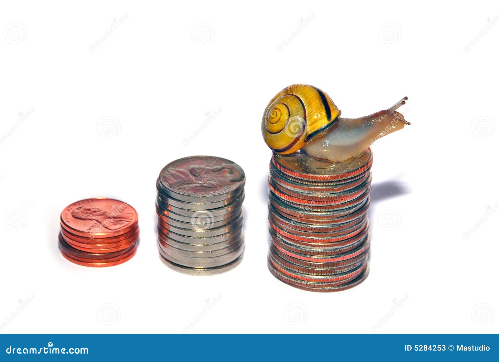Snail on Coins stock image. Image of dime, snail, roth - 5284253