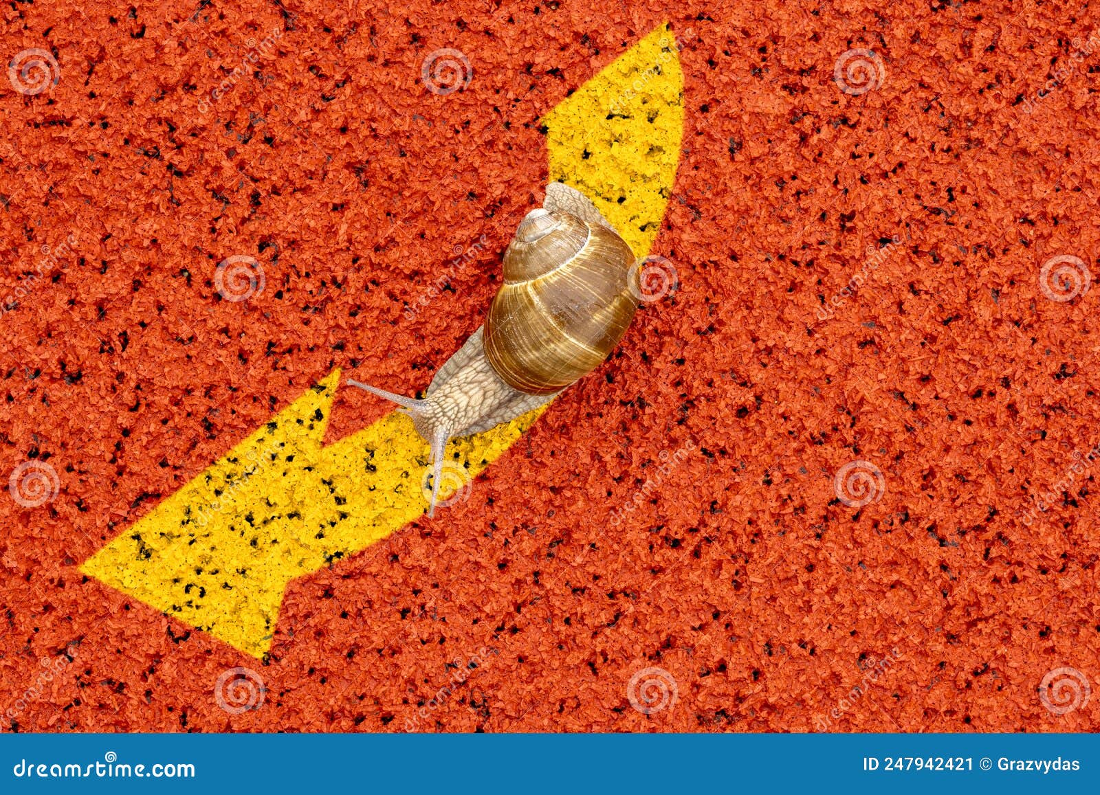 A Snail Crawling Along an Arrow Sign Stock Image - Image of road ...