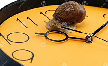 The Snail is Crawling on the Clock Face. Stock Photo - Image of ...