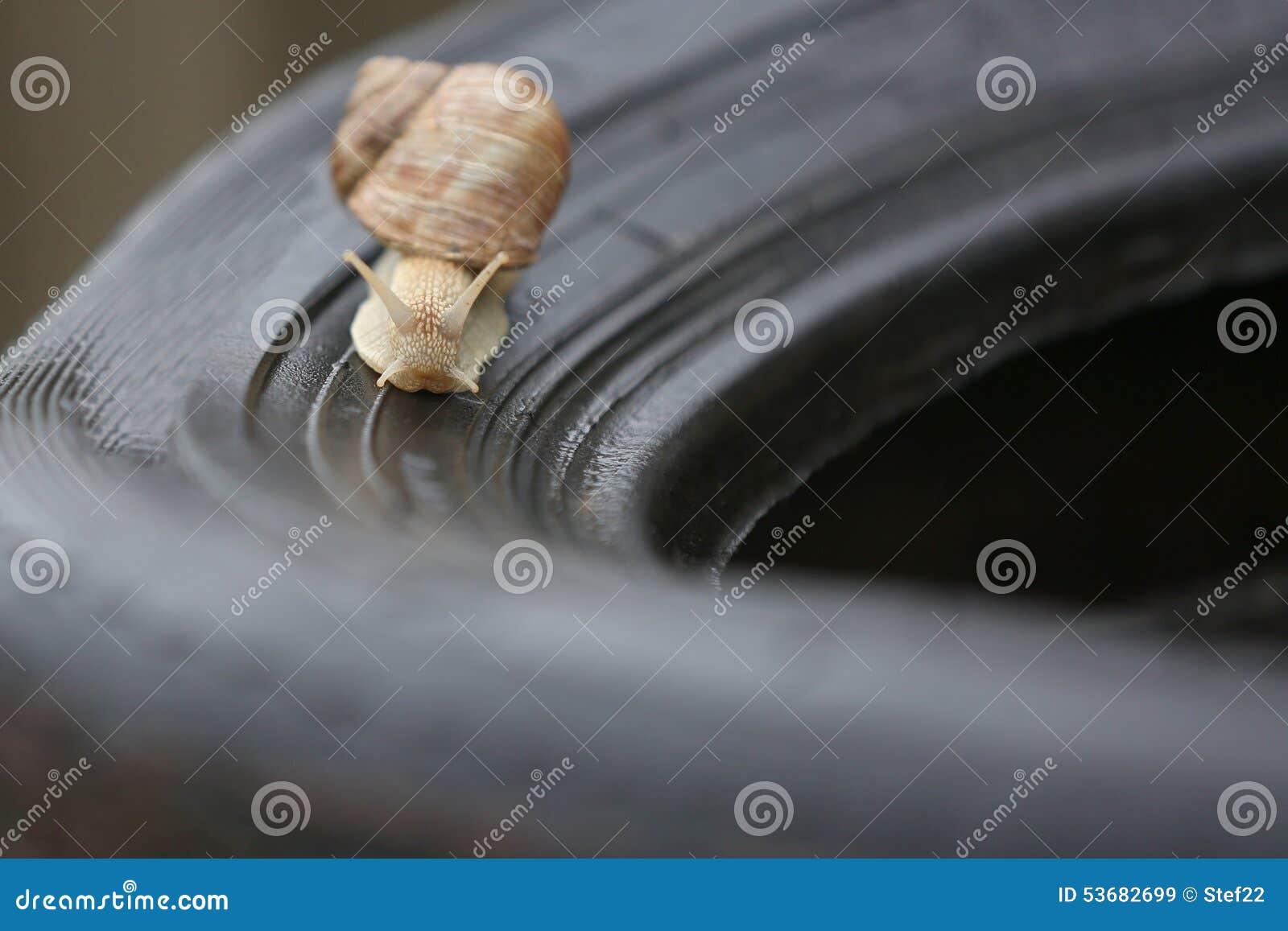 Snail crawling on a tire stock image. Image of spiral - 53682699