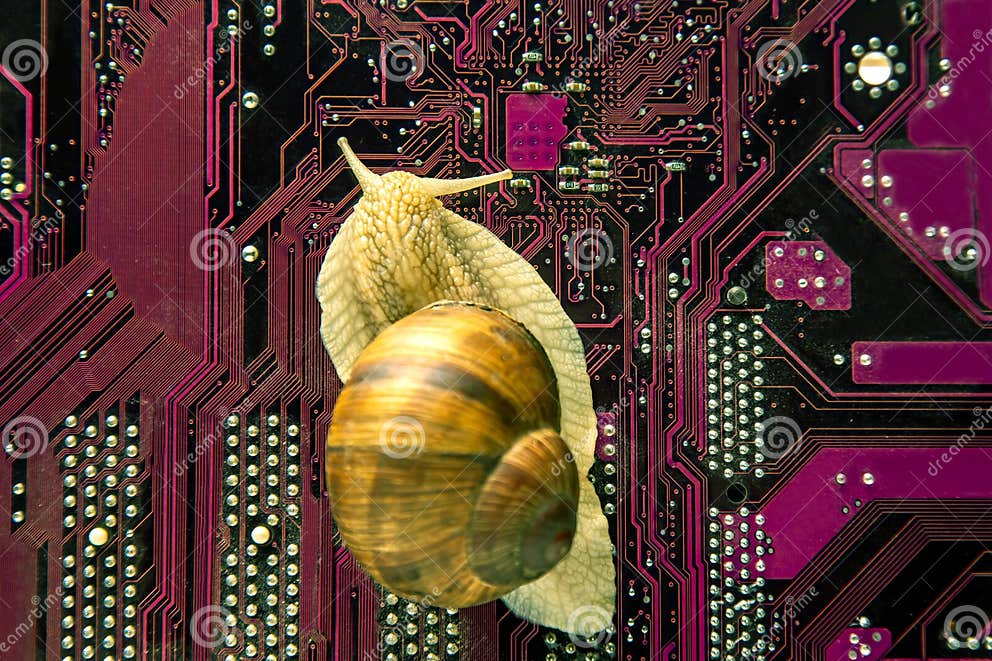 Snail Crawls on a Computer Electronic Circuit Board. the Concept of a ...