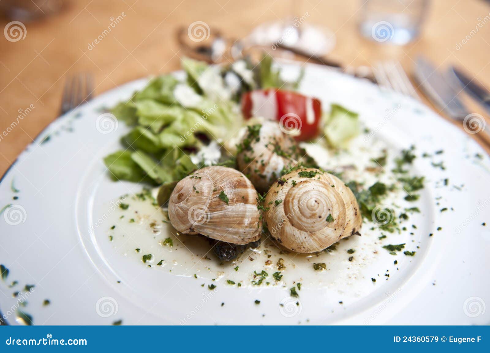 Snail Cuisine stock image. Image of gastronomic, garden - 24360579
