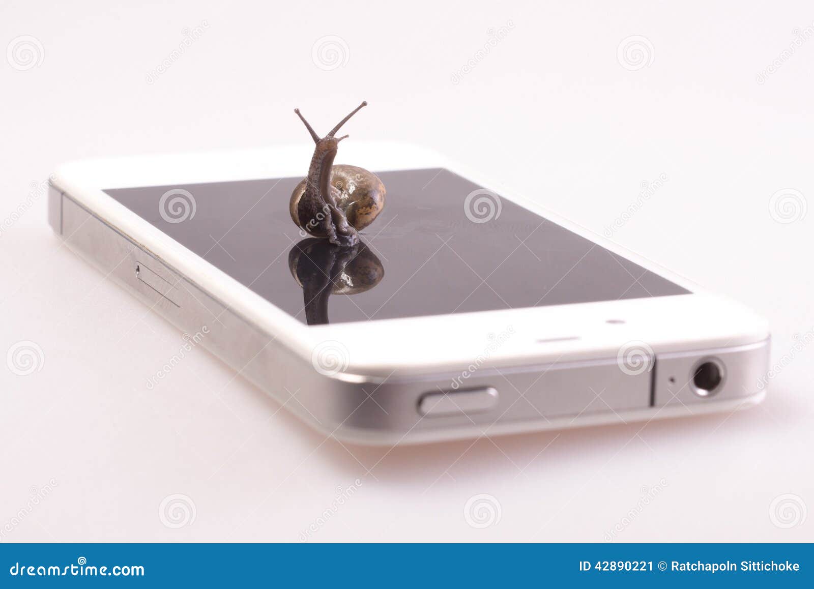 Snail on the device stock image. Image of equipment, animal - 42890221