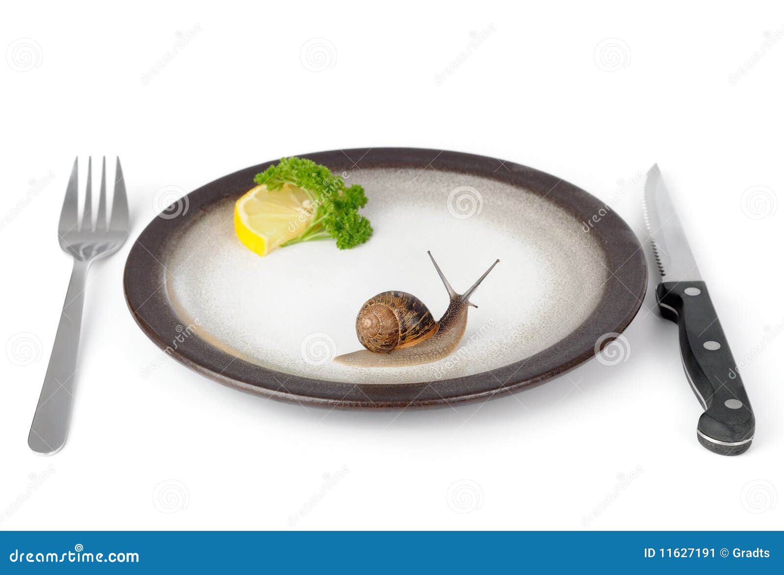 Snail escargot stock image. Image of studio, humour, food - 11627191