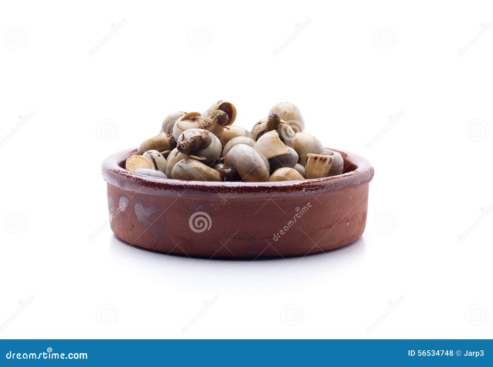 Snail food stock photo. Image of gastropod, lunch, shell - 56534748