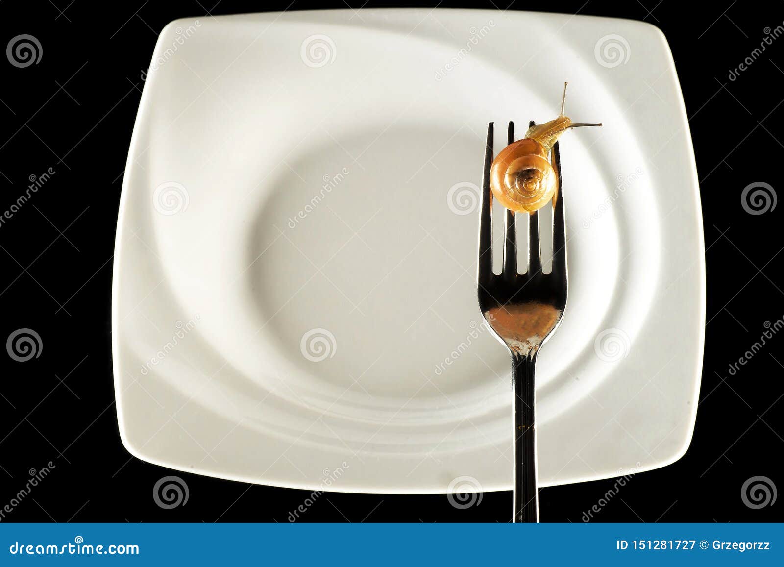 Snail on a Fork Against a White Plate Stock Image - Image of color ...