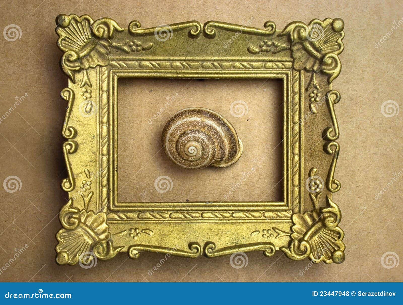 Snail in the frame stock photo. Image of object, grunge - 23447948
