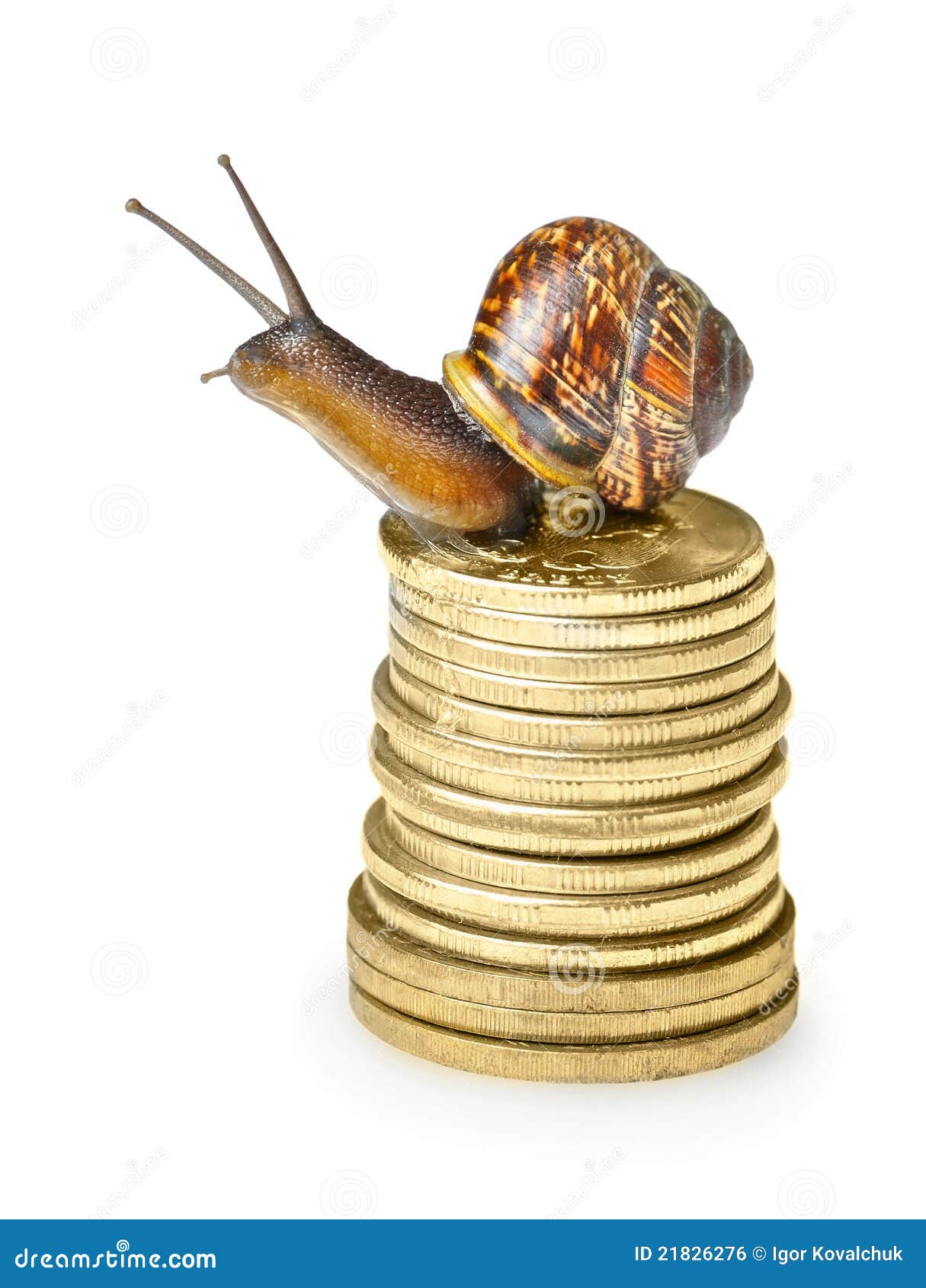 Snail on golden coins stock photo. Image of guard, cash - 21826276