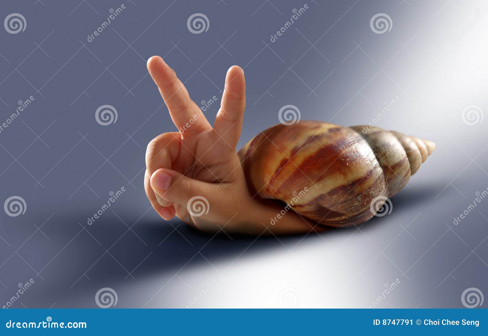Snail & hand stock image. Image of concept, snail - 8747791