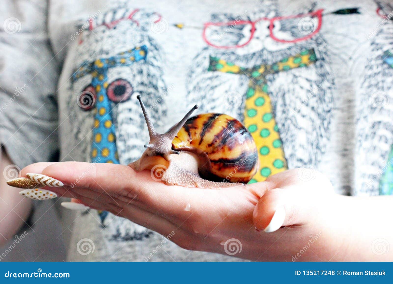 Snail in hand stock photo. Image of beauty, antenna - 135217248