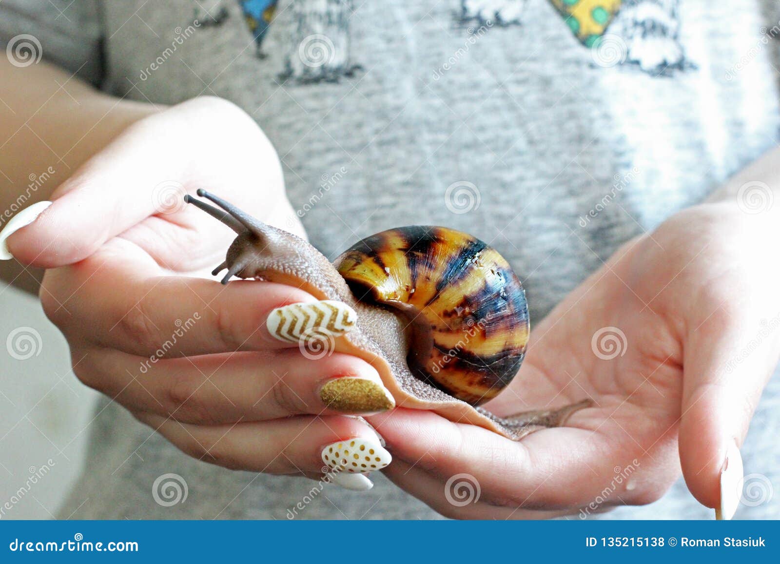 Snail in hand stock photo. Image of closeup, invertebrate - 135215138