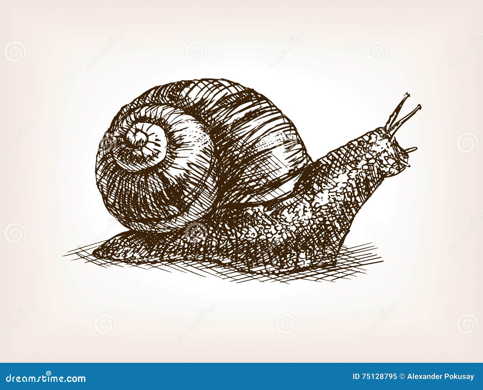 Snail Hand Drawn Sketch Vector Stock Vector - Illustration of object ...