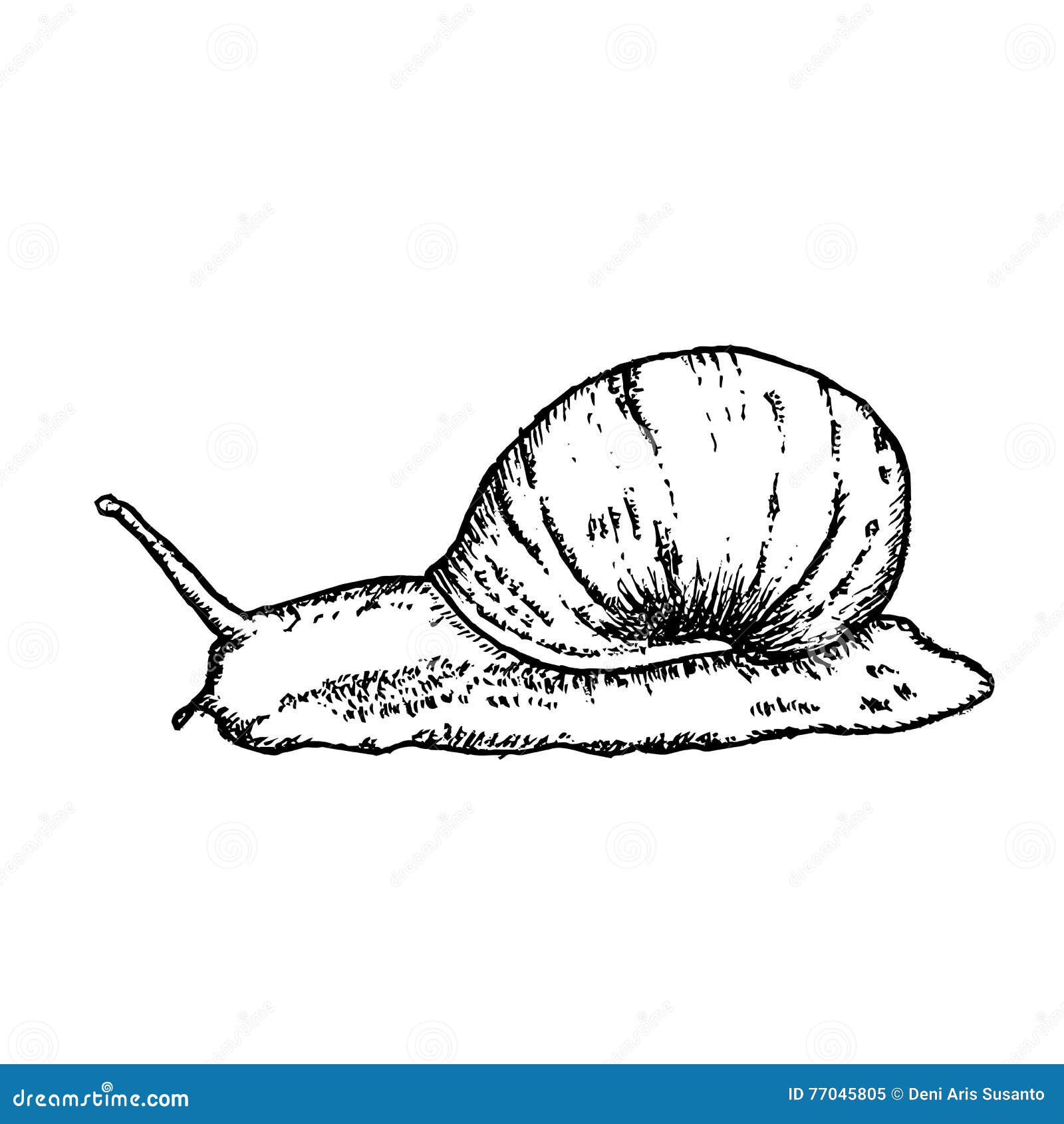 Snail Hand Drawing Stamp Silhouette Imprint, Isolated, White Background ...