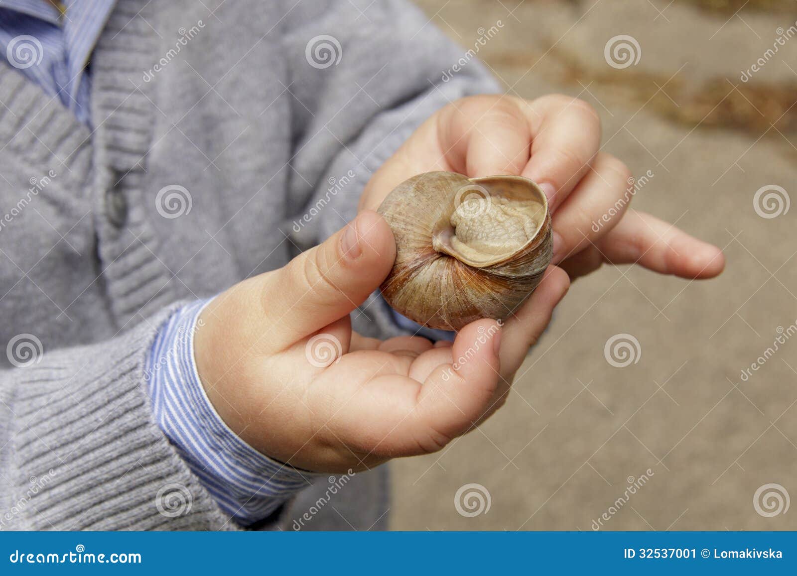 Snail in the hands stock image. Image of playing, person - 32537001
