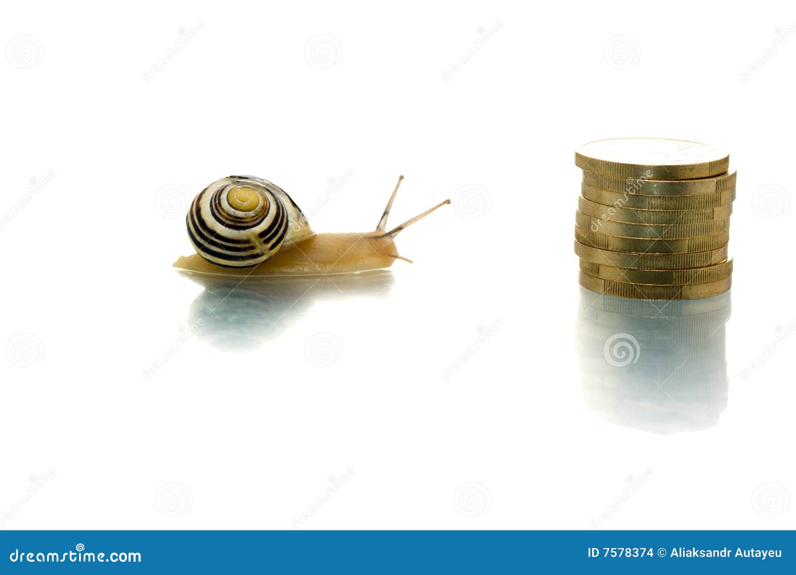 Snail heading to coins stock photo. Image of slow, thrift - 7578374