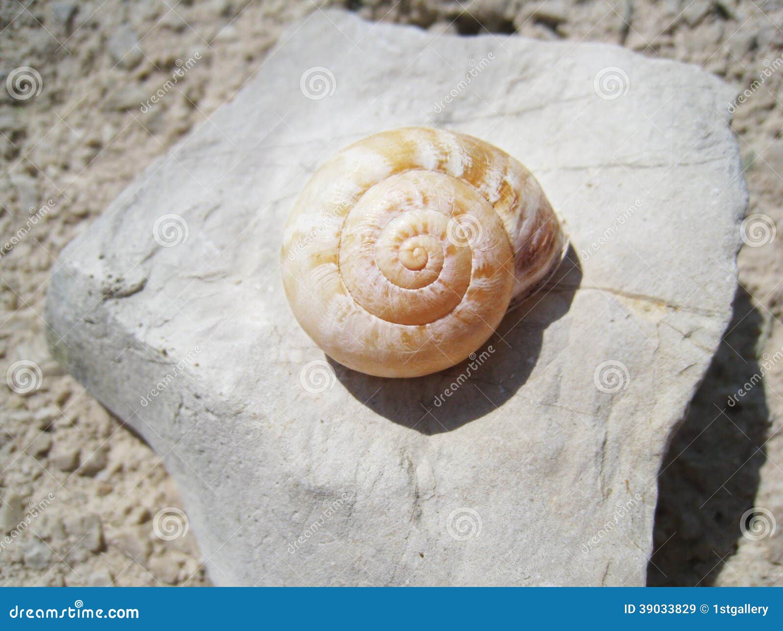 Snail House on the Beach (9) Stock Image - Image of shell, oceanside ...