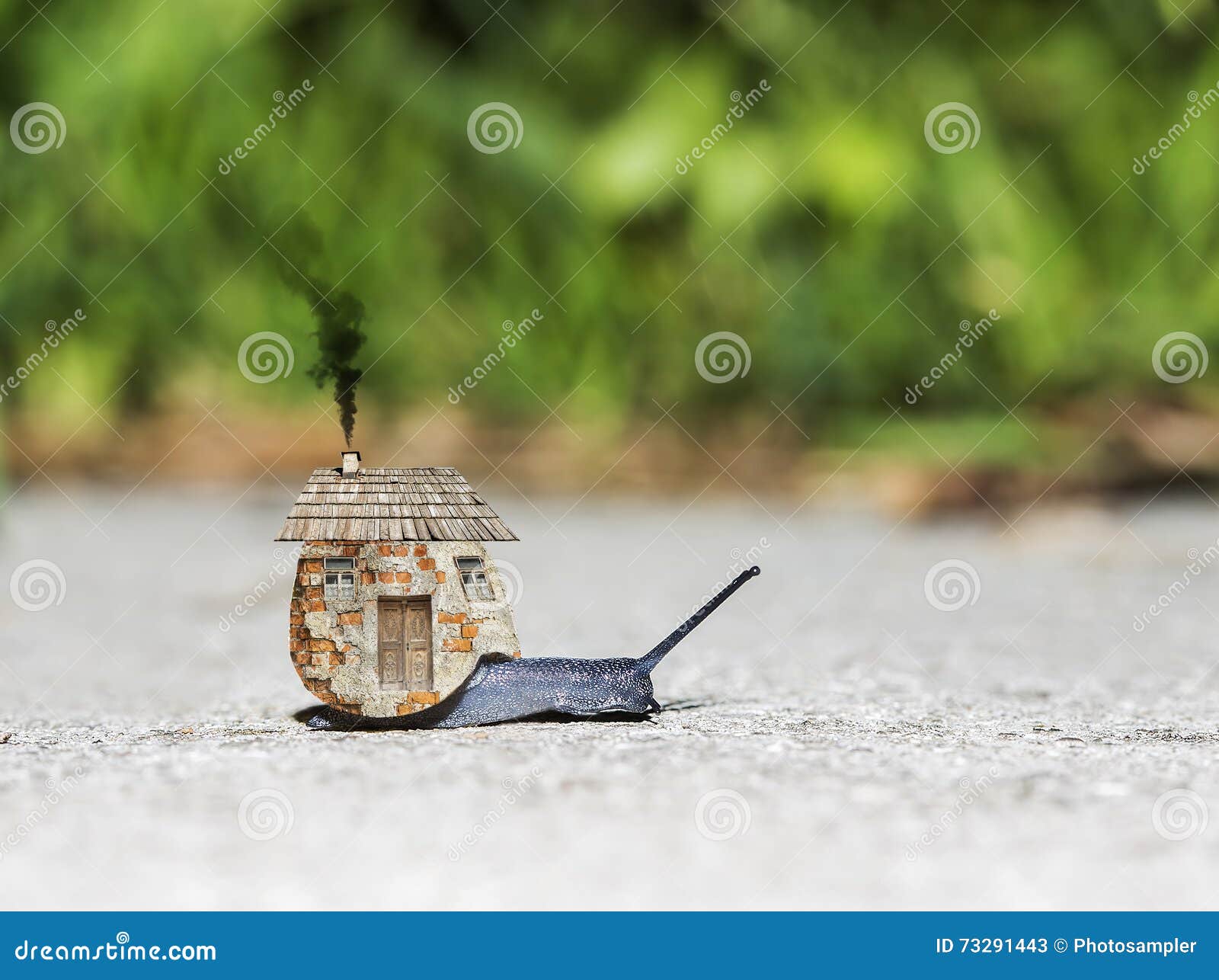 Snail with a house stock image. Image of chimney, animal - 73291443