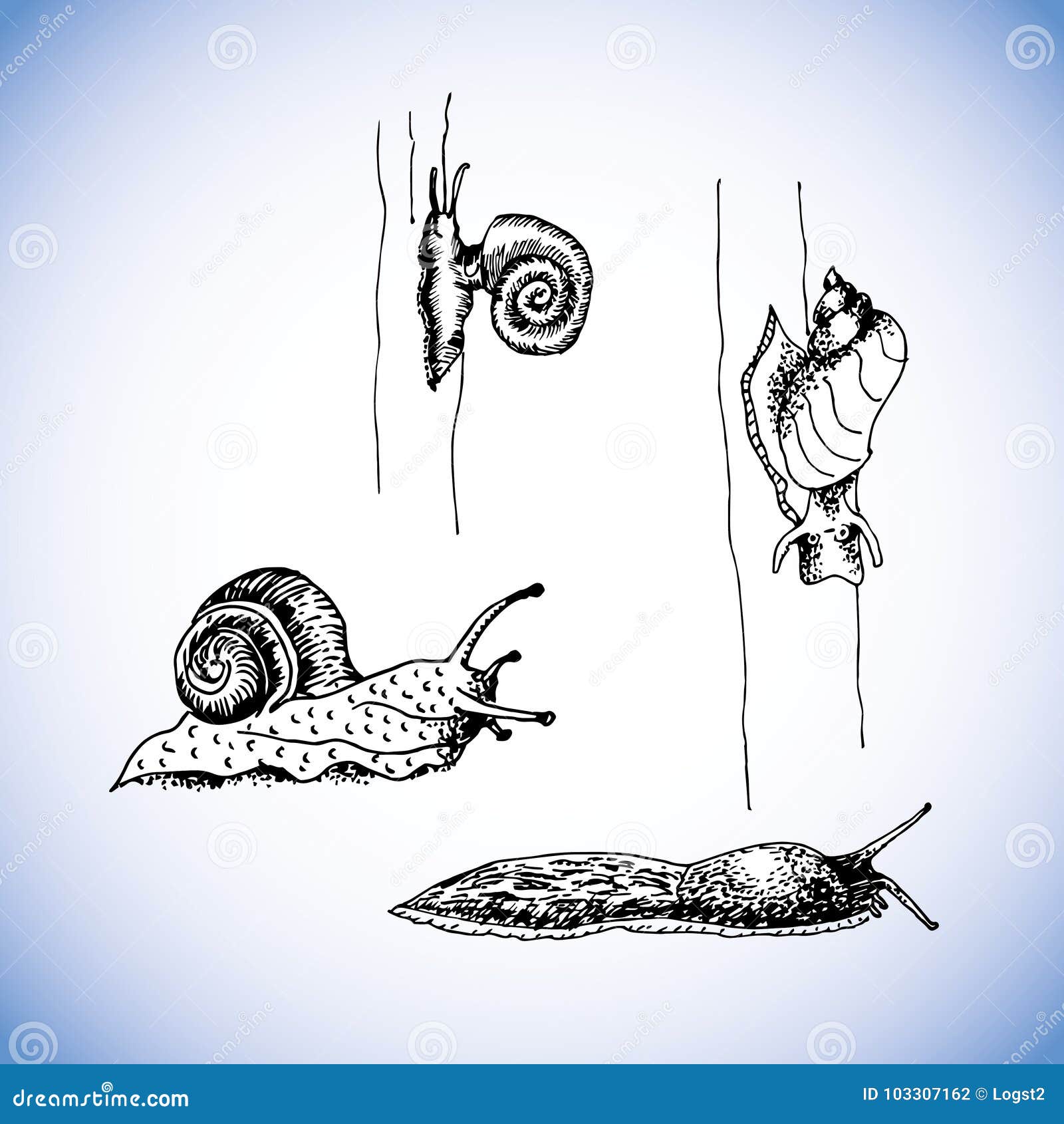 Snails Illustration Vector Hand Drawn Style. Linear Tree Icon Stock ...