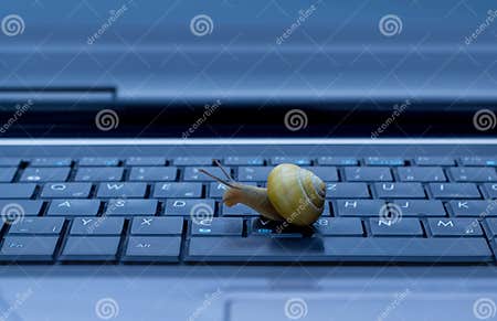 Snail on keyboard stock image. Image of snails, online - 30974641
