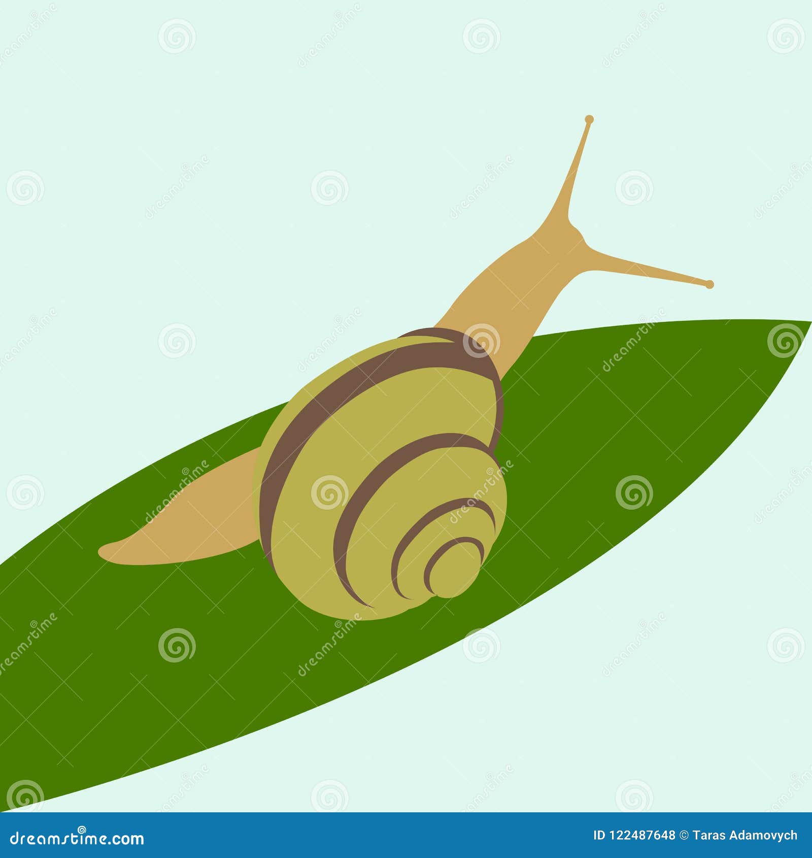 Snail On A Leaf Vector Illustration On A White Background, Line Art ...