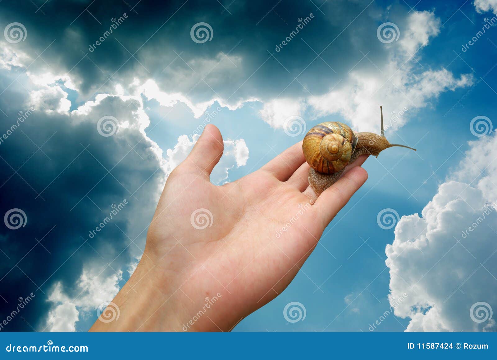 Snail life stock photo. Image of isolated, religion, clouds - 11587424
