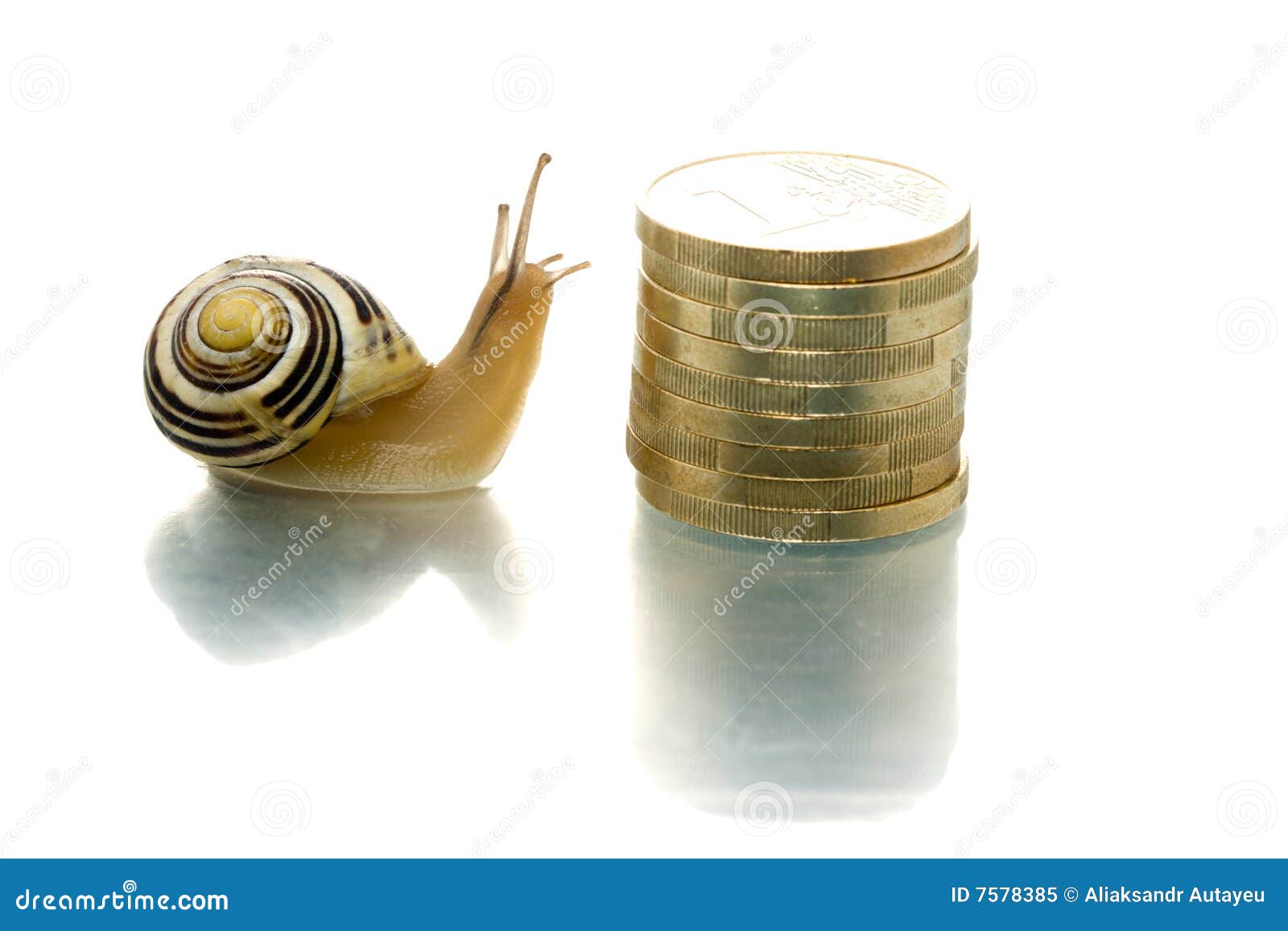 Snail Looks Curiously at Coins Stock Image - Image of concept, slimy ...