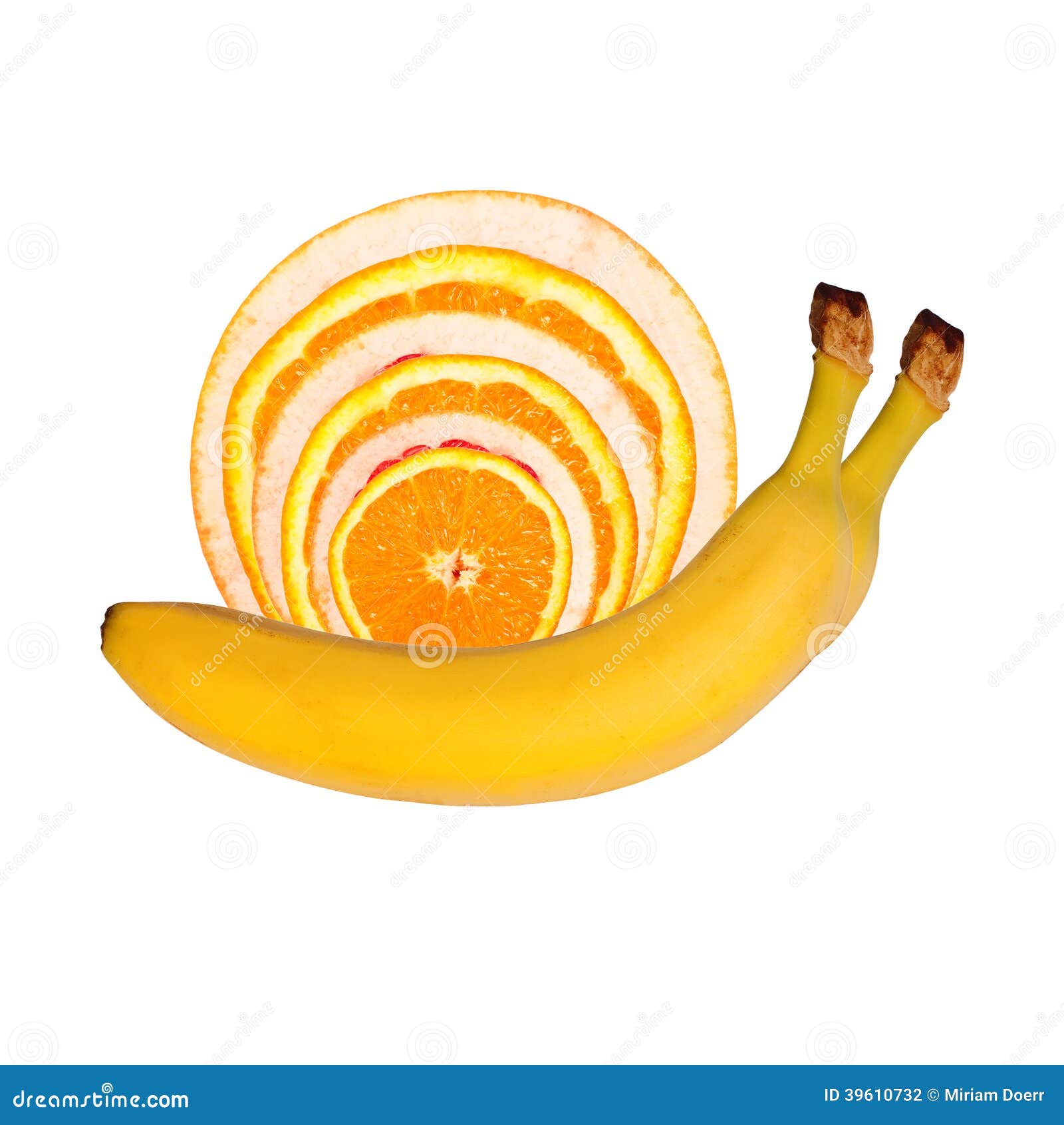 Snail, Made from Fruits and Vegetables Stock Photo - Image of ...