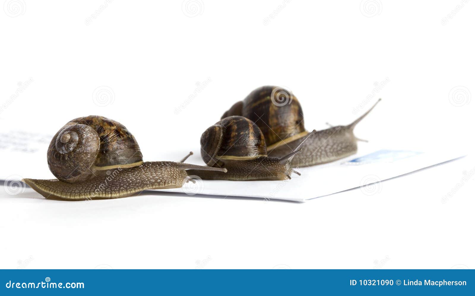 Snail Mail stock photo. Image of stamp, envelope, spiral - 10321090