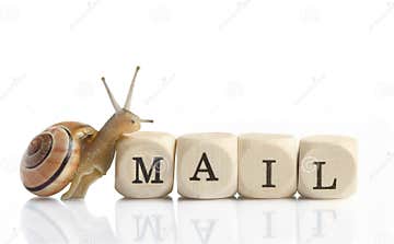 Snail Mail stock photo. Image of humor, patience, animal - 20243736