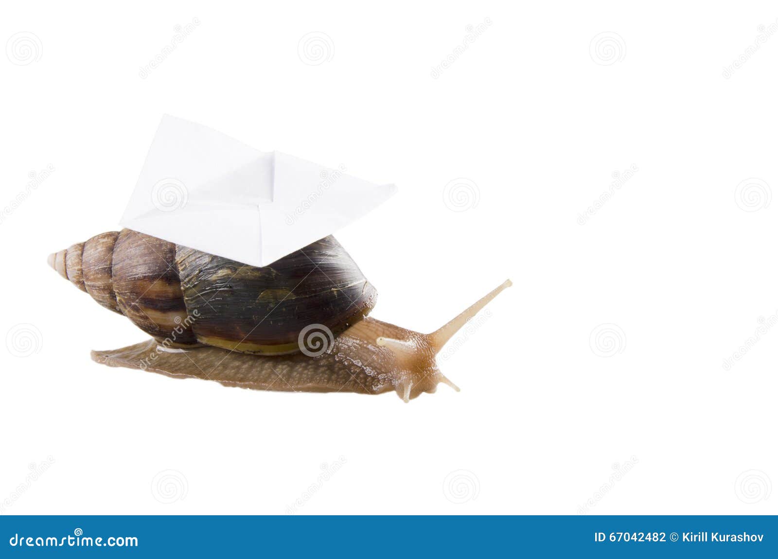 Snail mail stock photo. Image of close, huge, idea, adult - 67042482