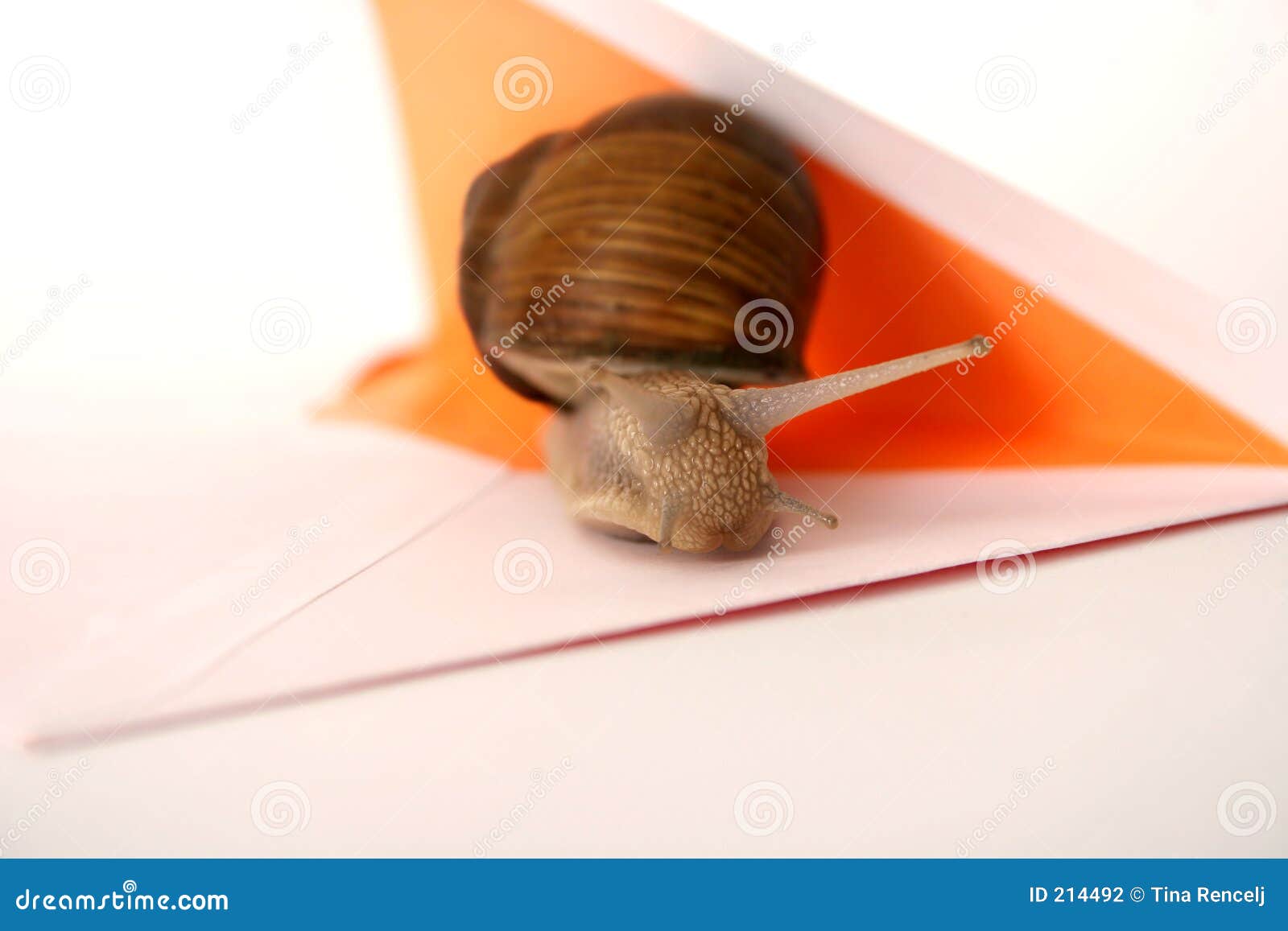 Snail Mail Closeup stock photo. Image of cute, airmail - 214492