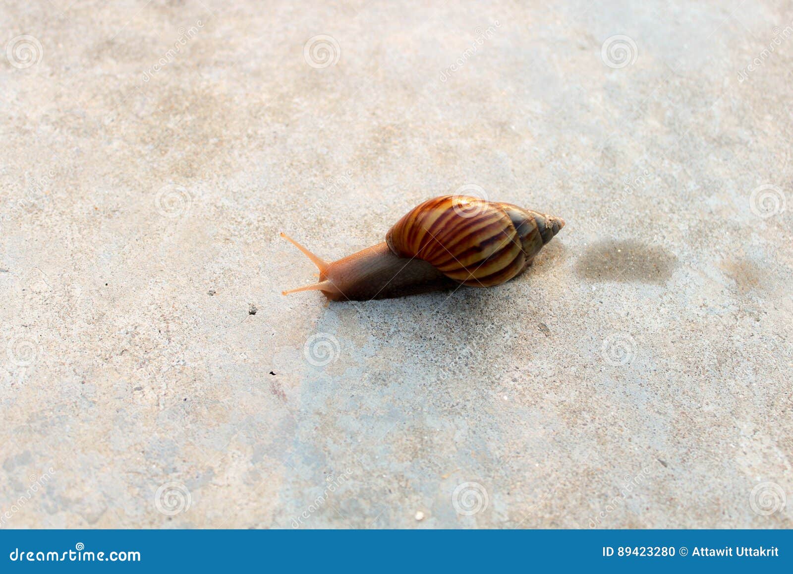 The Snail man in the park stock photo. Image of garden - 89423280