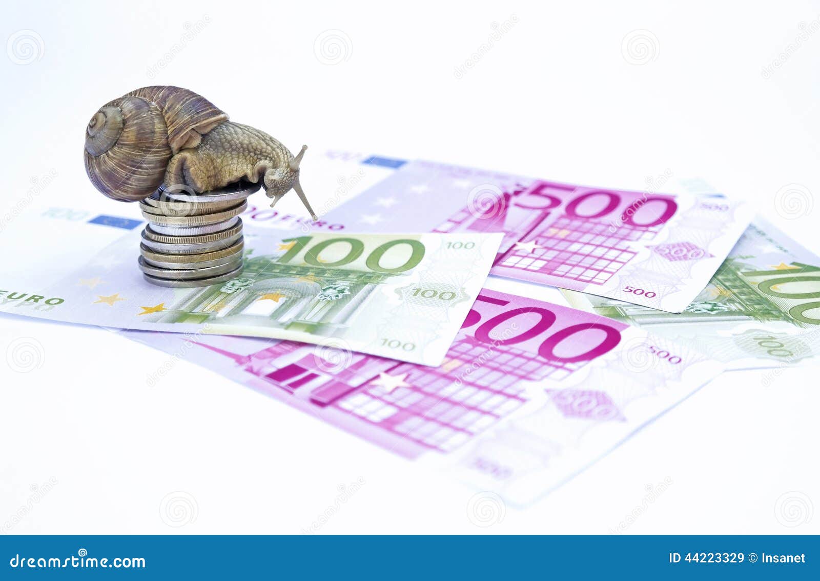 Snail on moneys stock image. Image of payment, profit - 44223329