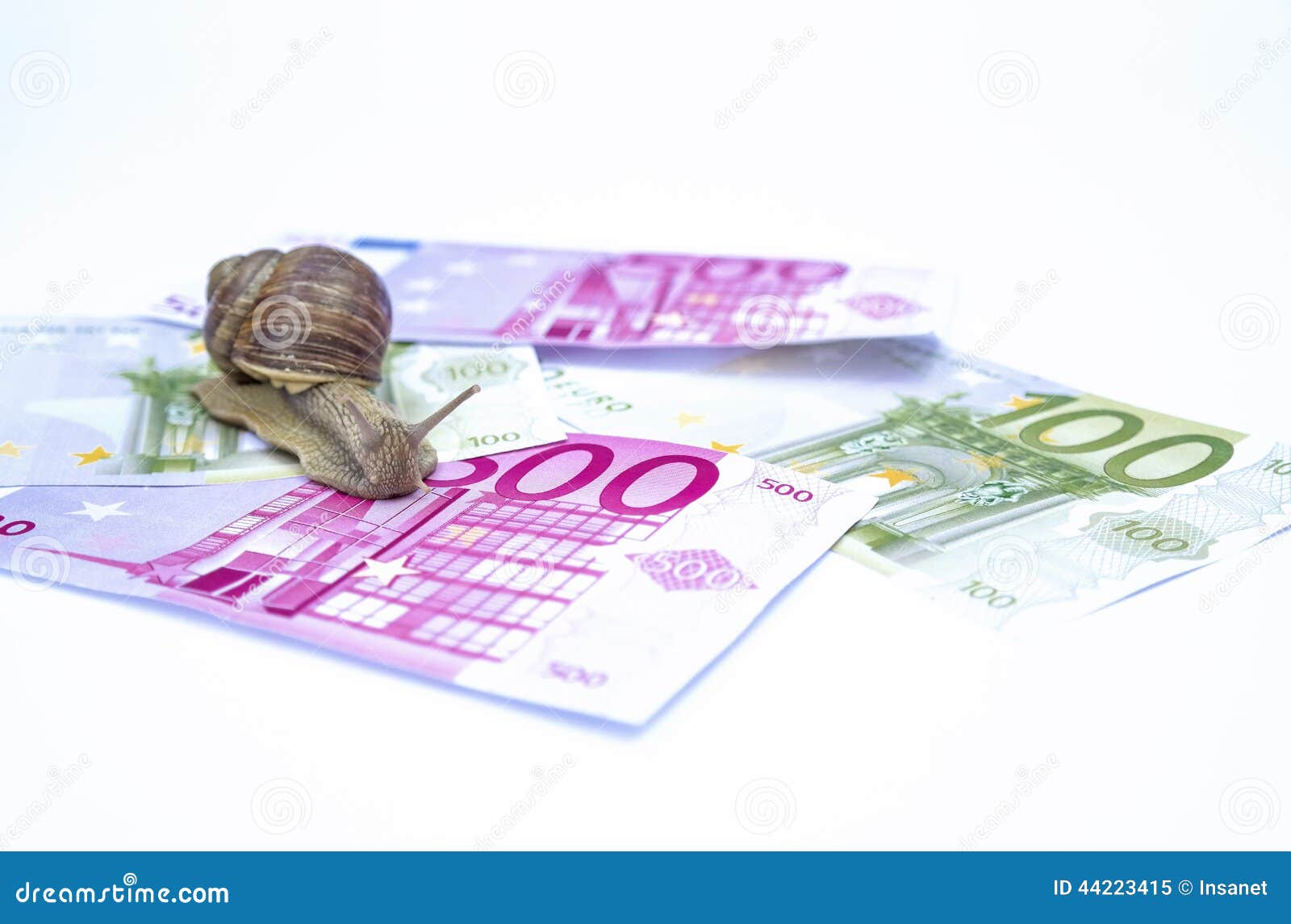 Snail on moneys stock image. Image of bill, change, cash - 44223415