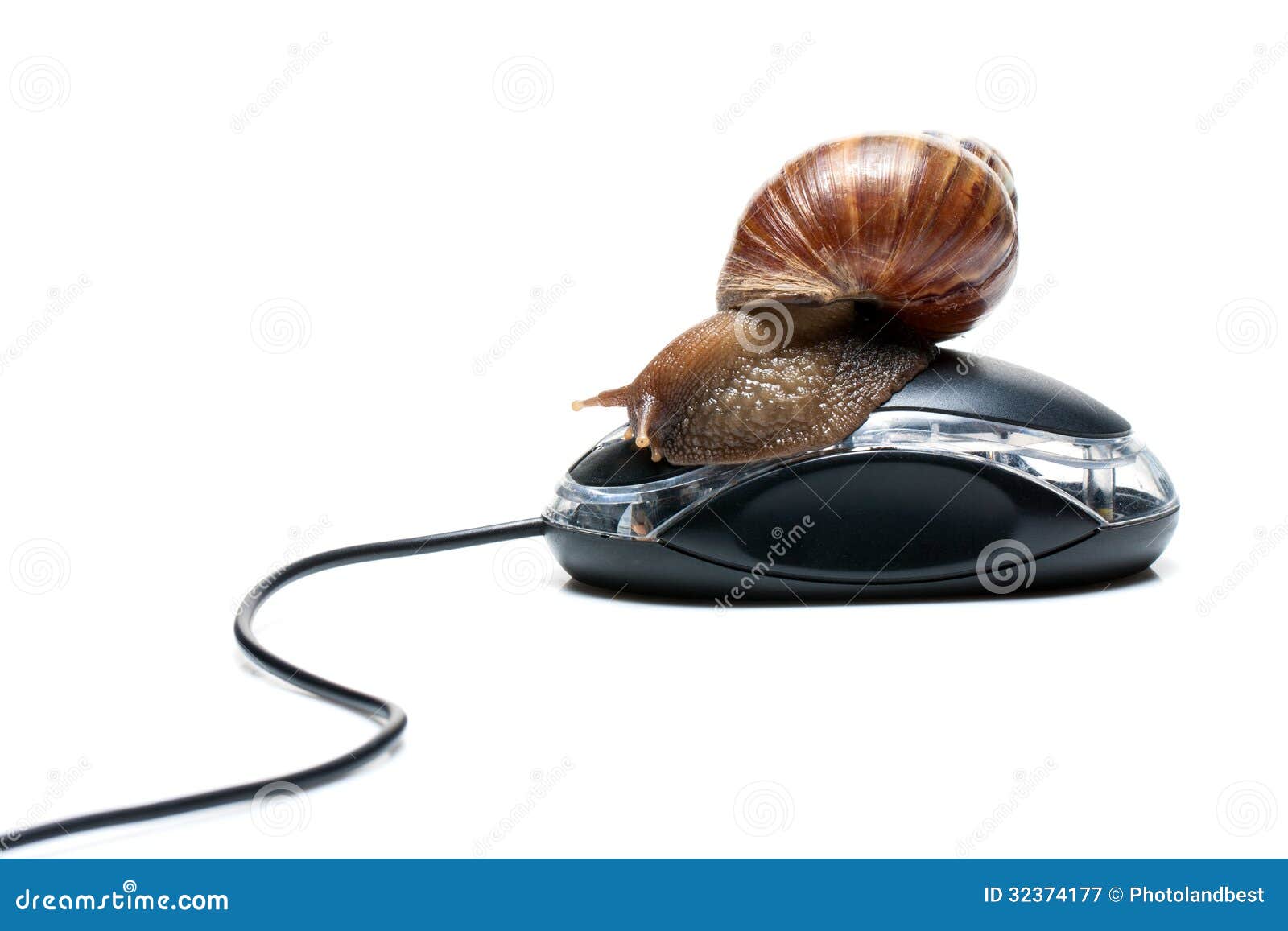 Snail on mouse stock image. Image of connection, computer - 32374177