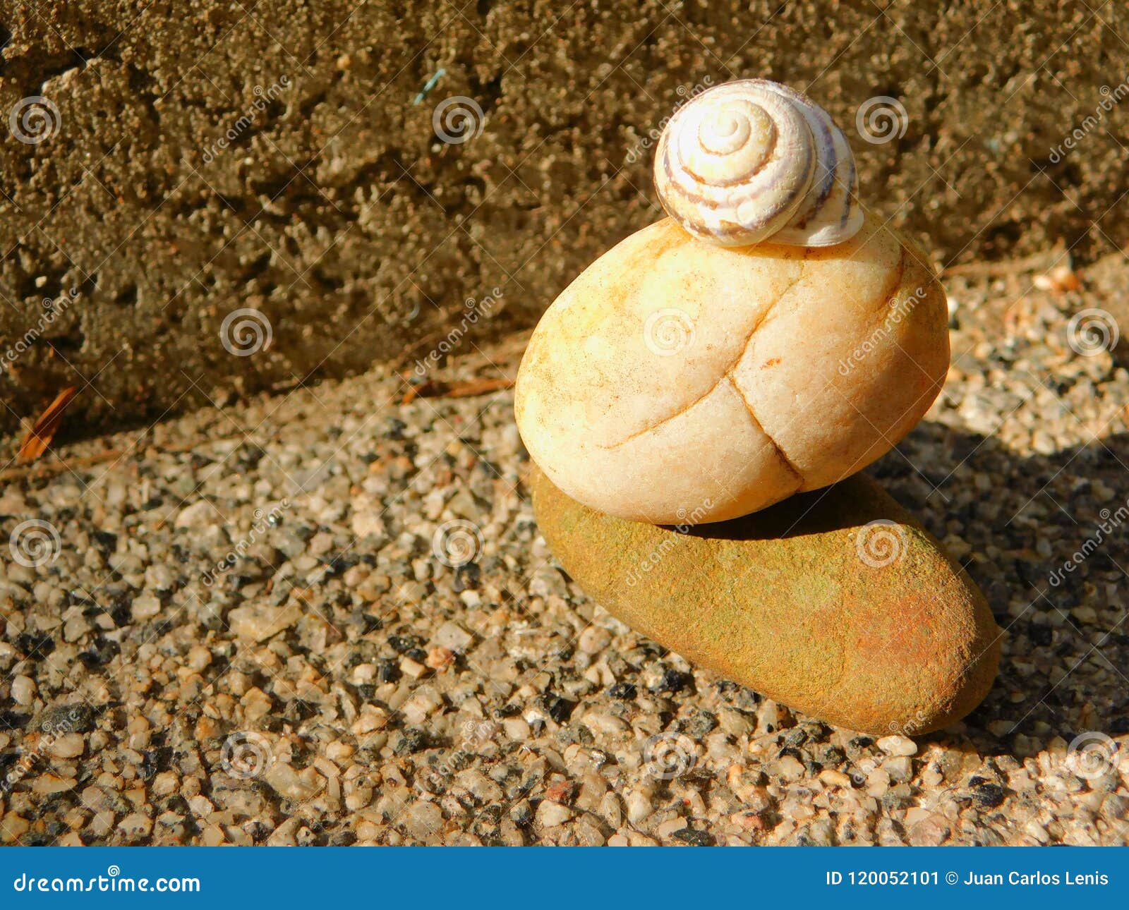 SNAIL OVER ROCKS UNDER the SUN and CONCRETE BACKGROUND Stock Image ...